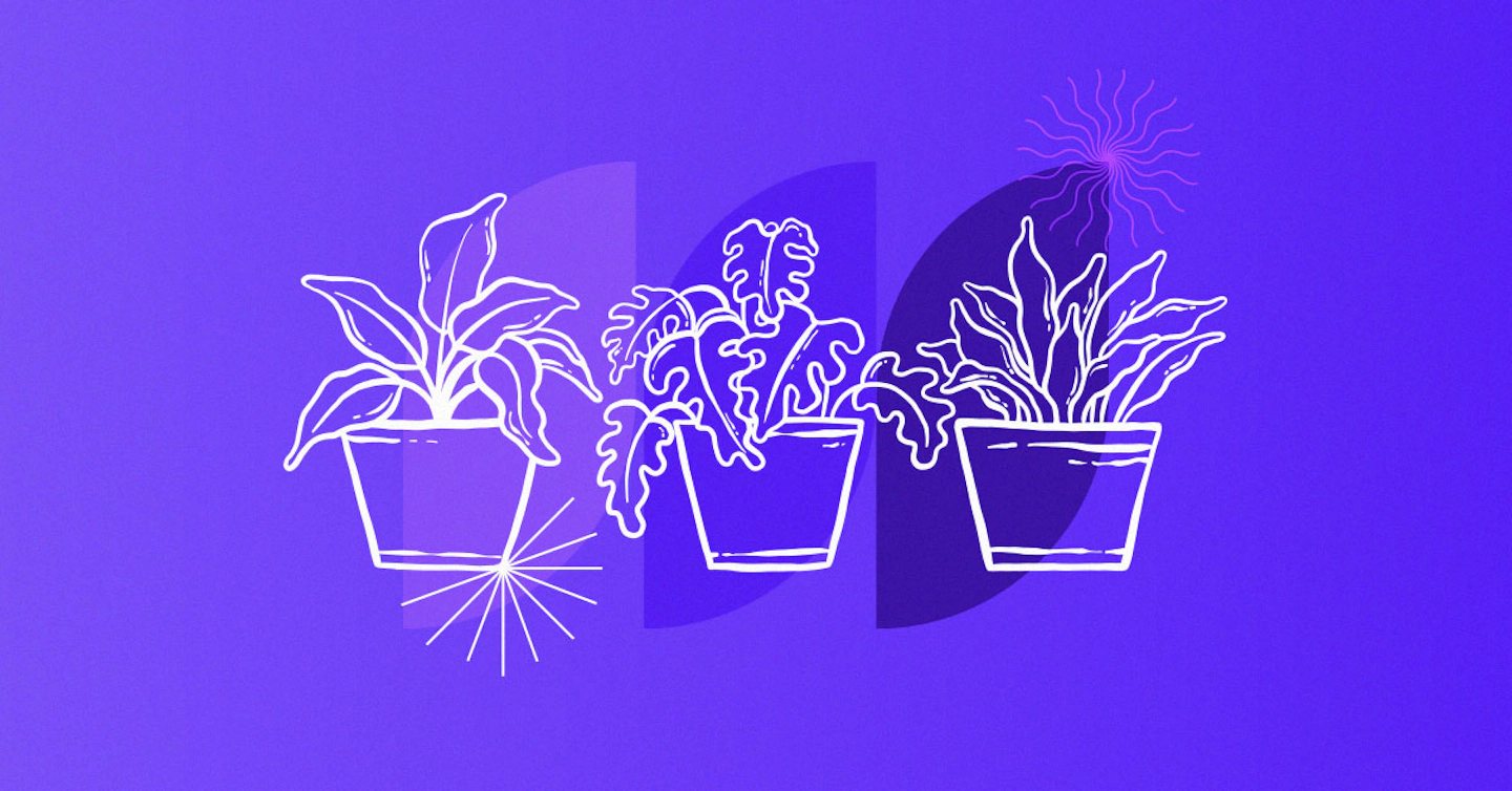 🌱 Ilustraciones de vector: plantas dibujadas a mano | Crehana